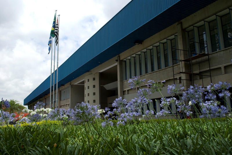 Faculdade De Economia, Administração E Contabilidade - USP E As Profissões